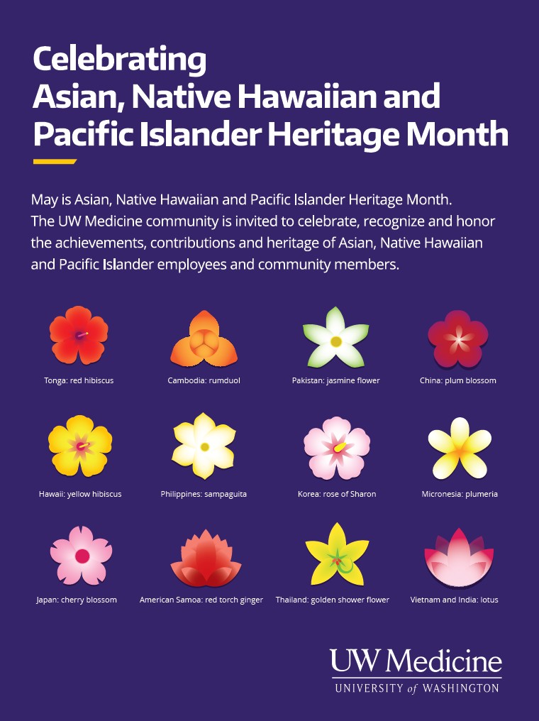 Asian, Native Hawaiian and Pacific Islander Heritage Month Flag ...